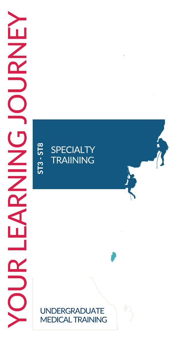 Specialty Training comprises IMT, Core Surgery and GP